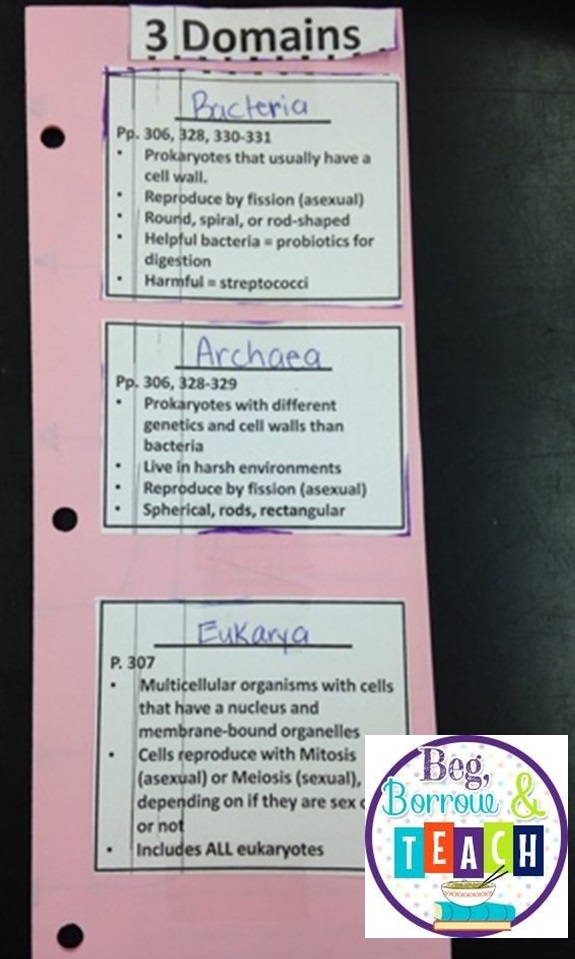 Beg, Borrow, and Teach!: 3 Kingdoms and 6 Domains Differentiated Foldable