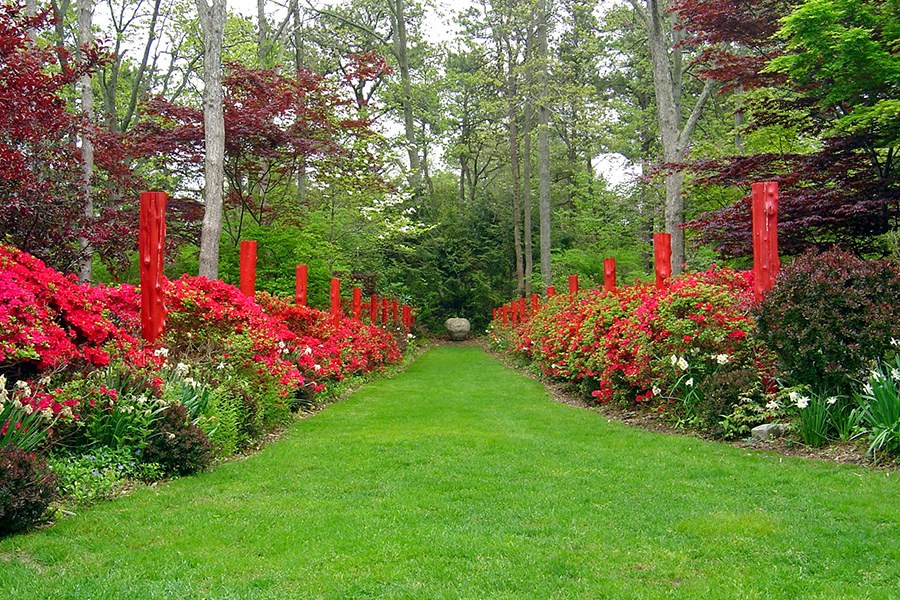 Picture of the Day-RED in the Garden