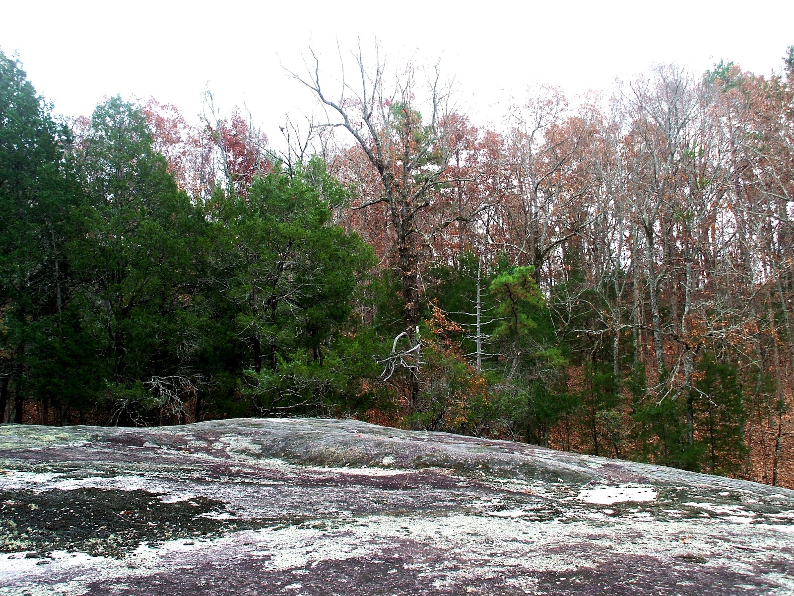 My Travels: 40 Acre Rock, South Carolina