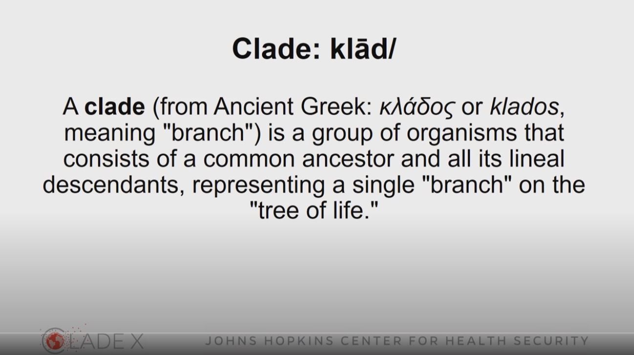 Flowsadepisaroita: Clade X uusi parainfluenssa - sinulaatioharjoitus ...