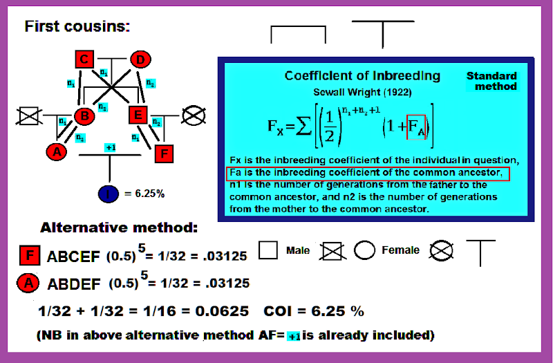 Inbreeding Coefficient
