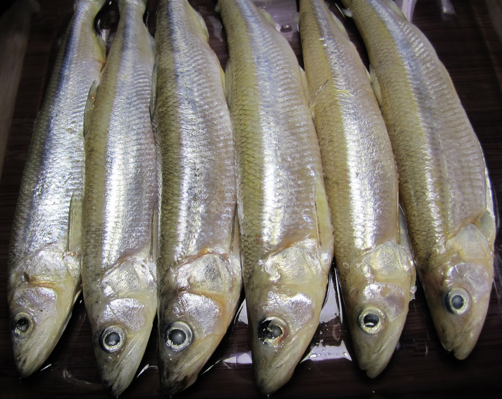 Fried Smelts Recipe | RecipeStudio