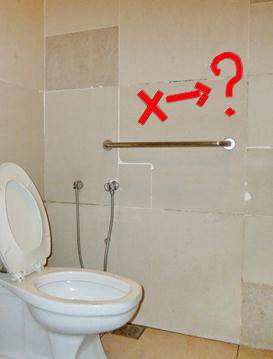 Wheelchair Access Penang (wapenang): Toilet (WC) For Disabled People