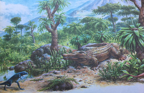 a mesozoic field guide: The Triassic Period