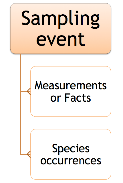 Developer Blog: Probably Turboveg's best-kept secret