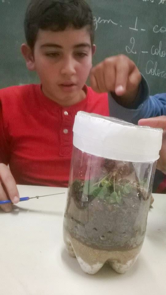 Escola Estadual Profa. Leda Fernandes Lopes: Terrário e o ciclo da água