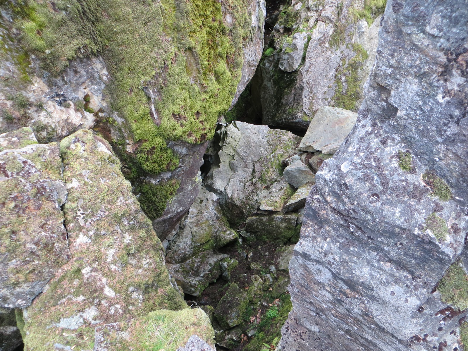 My Pacific Northwest: Devil's Rock Garden 4-28-12