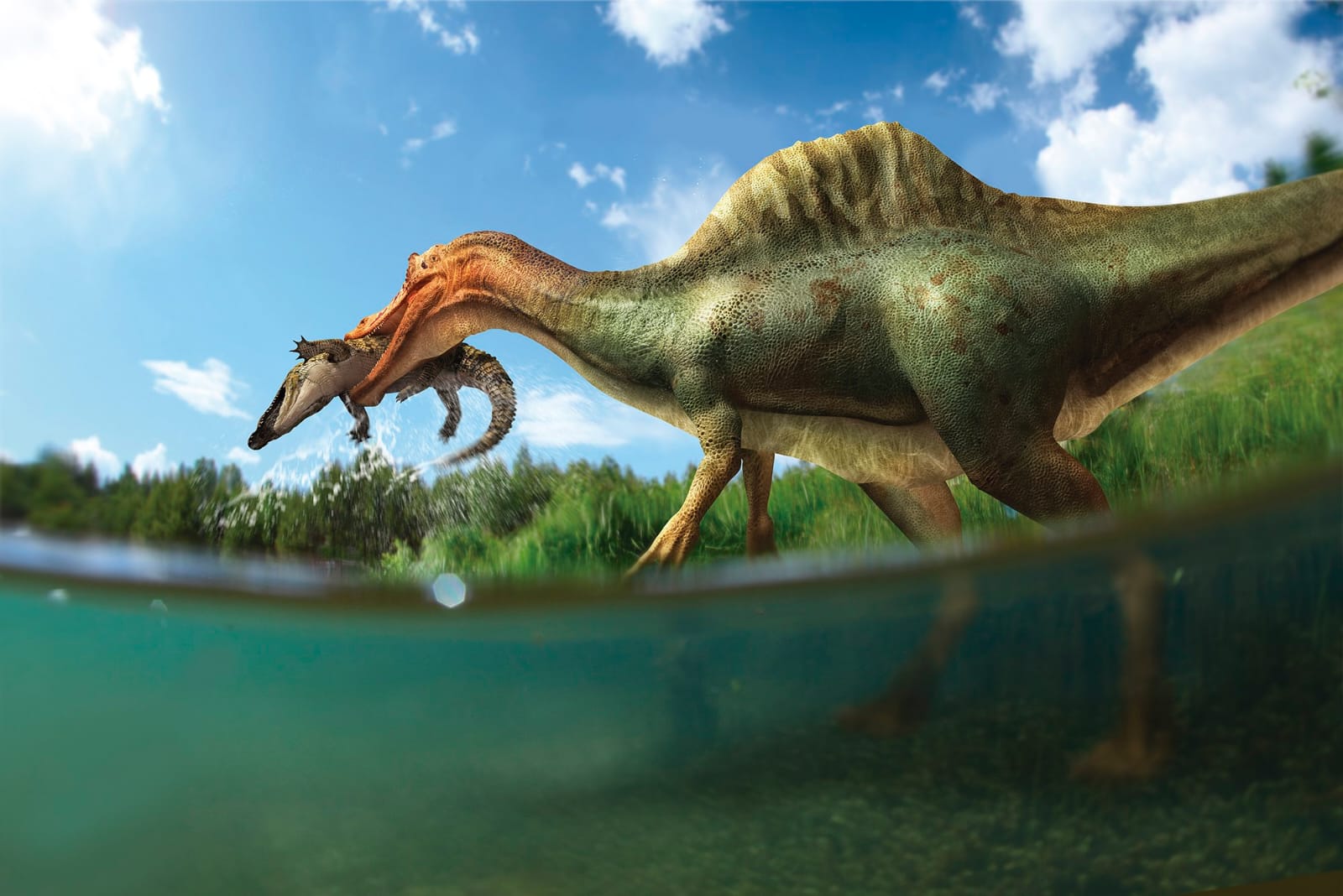 A new spinosaurid theropod (Dinosauria: Megalosauroidea) from the late ...
