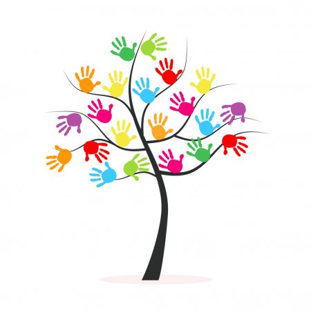 Growing Tree Pediatrics: What does inclusion look like in a classroom?
