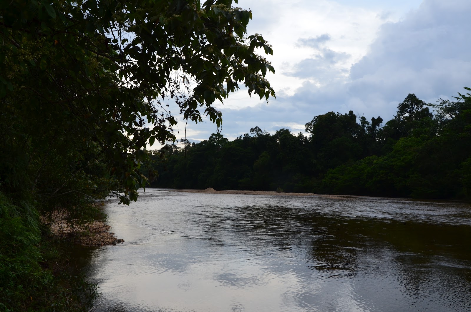 XPLORASI: X-PLORASI HUTAN SIMPAN PASIR RAJA (CHENGAL TERBESAR DI DUNIA)