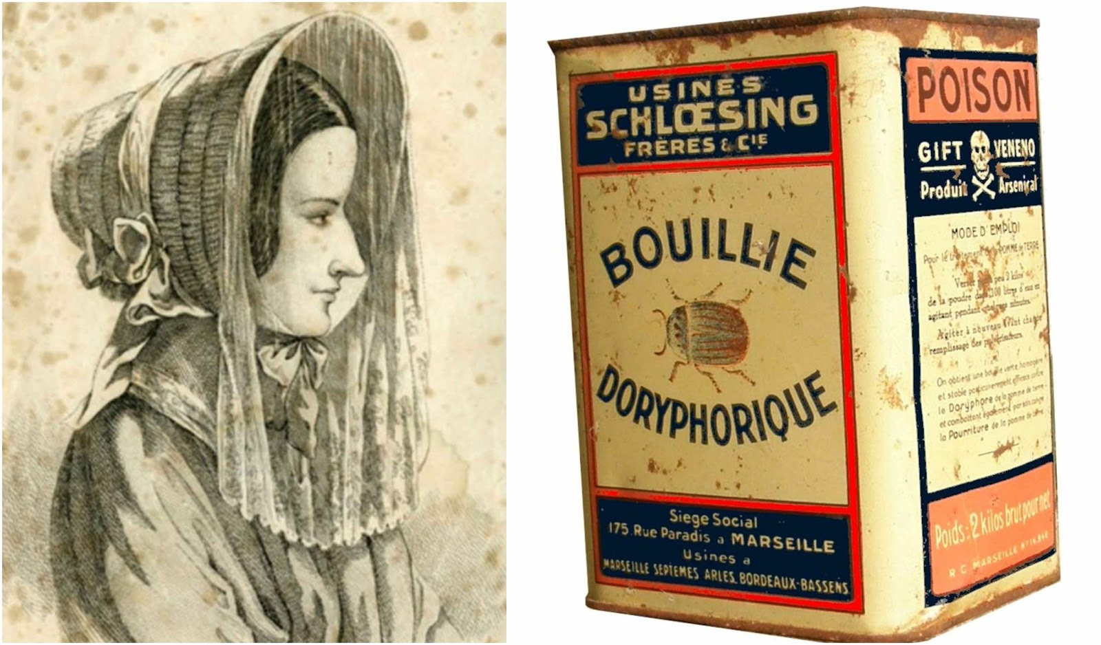 Women of History: Marie Lafarge - Celebrated French Poison Trial
