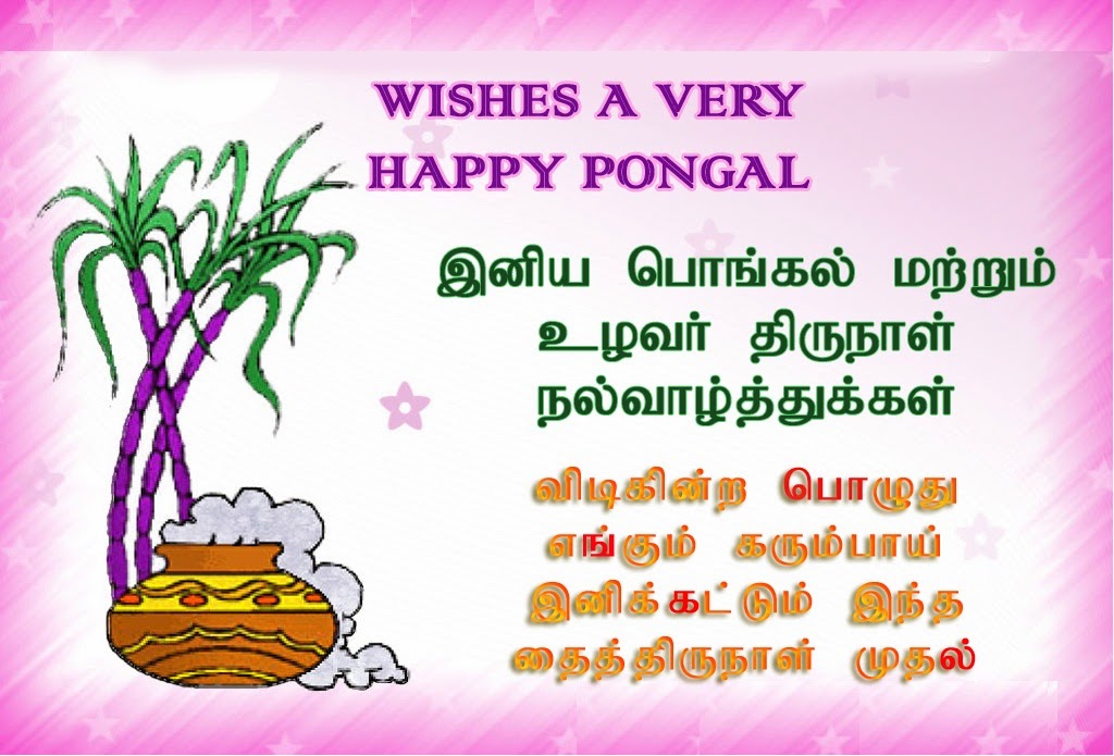 Pongal Messages Wallpapers In Tamil 2014 Pongal Greetings Cards pongal-messages-wallpapers-in-tamil-2014-pongal-greetings-cards