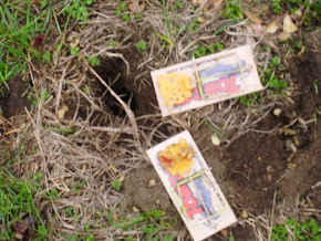 Vole Traps Supplies And More