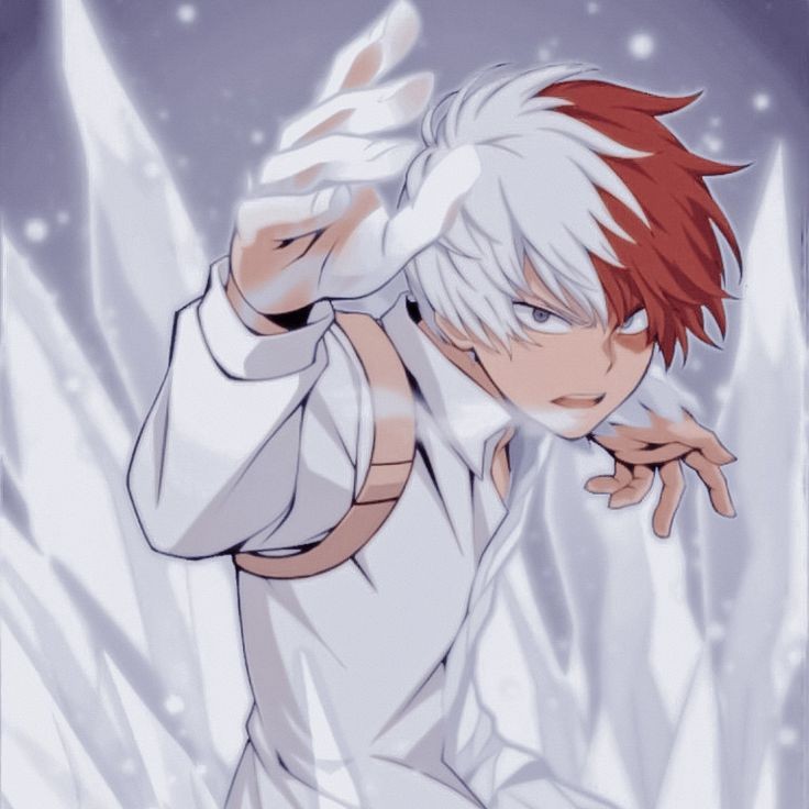 Personalidade Todoroki Shoto- Boku no Hero