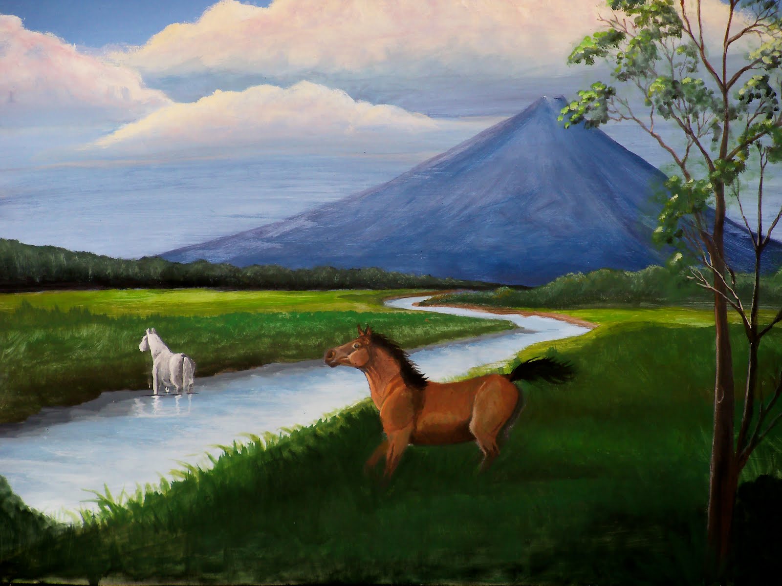 Jungle and Rainforest Art of Costa Rica: Costa Rica Landscapes