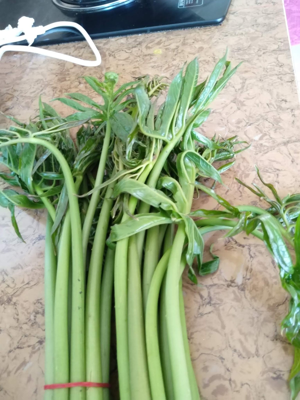 namakucella: KERABU PUCUK GELI-GELI