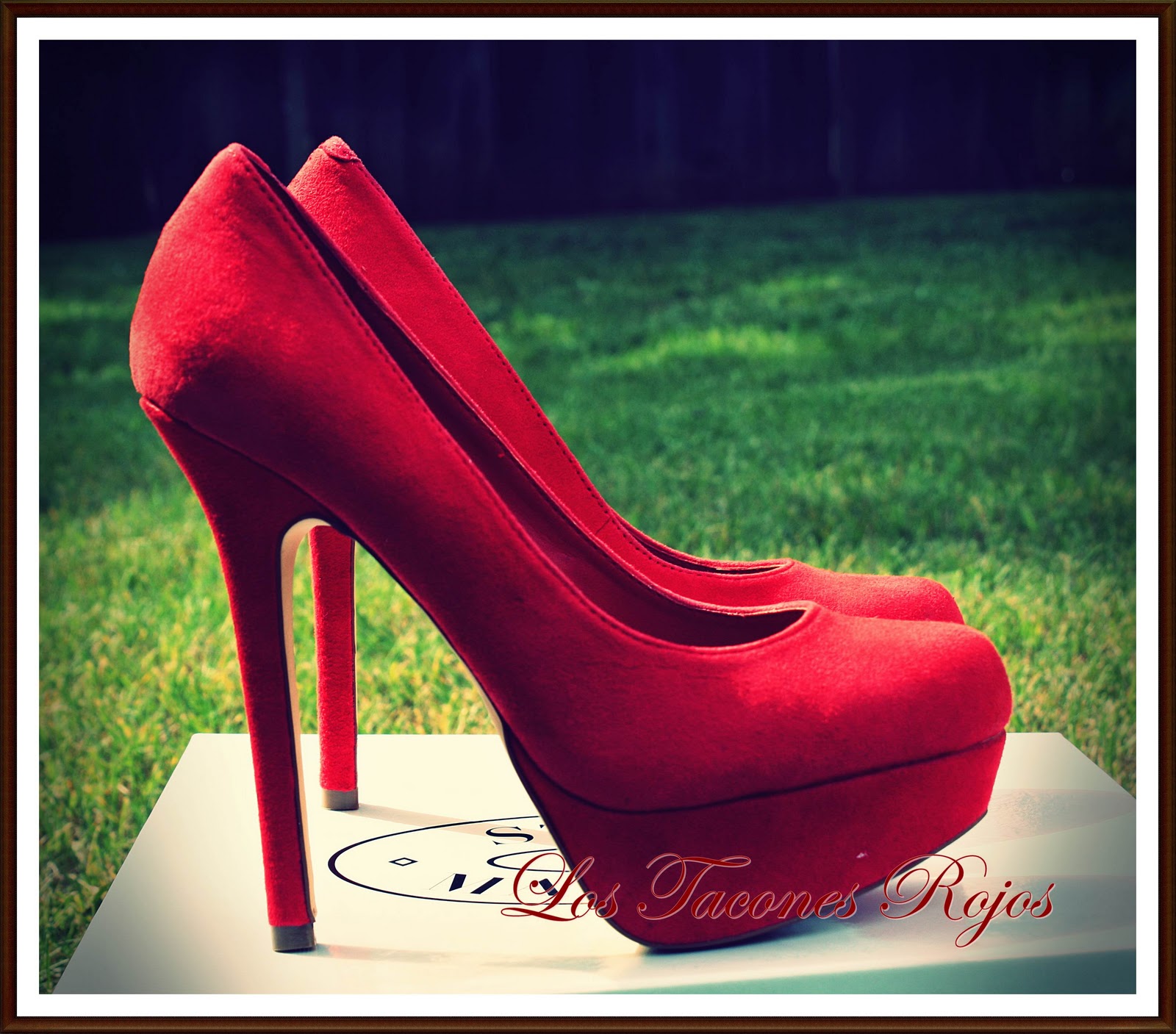 Zapatos Rojos :) | Heels, Steve madden pumps, Shoes
