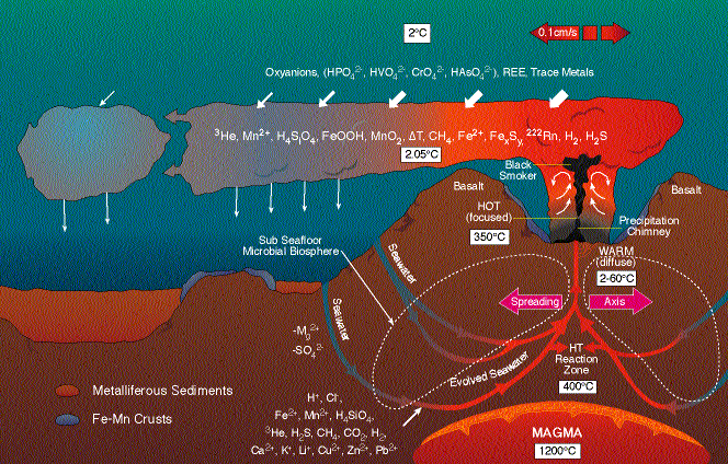 PROSES HIDROTERMAL ~ COAL MINING