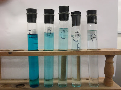 The Lab Lads: Solutions and Creating Dilutions!