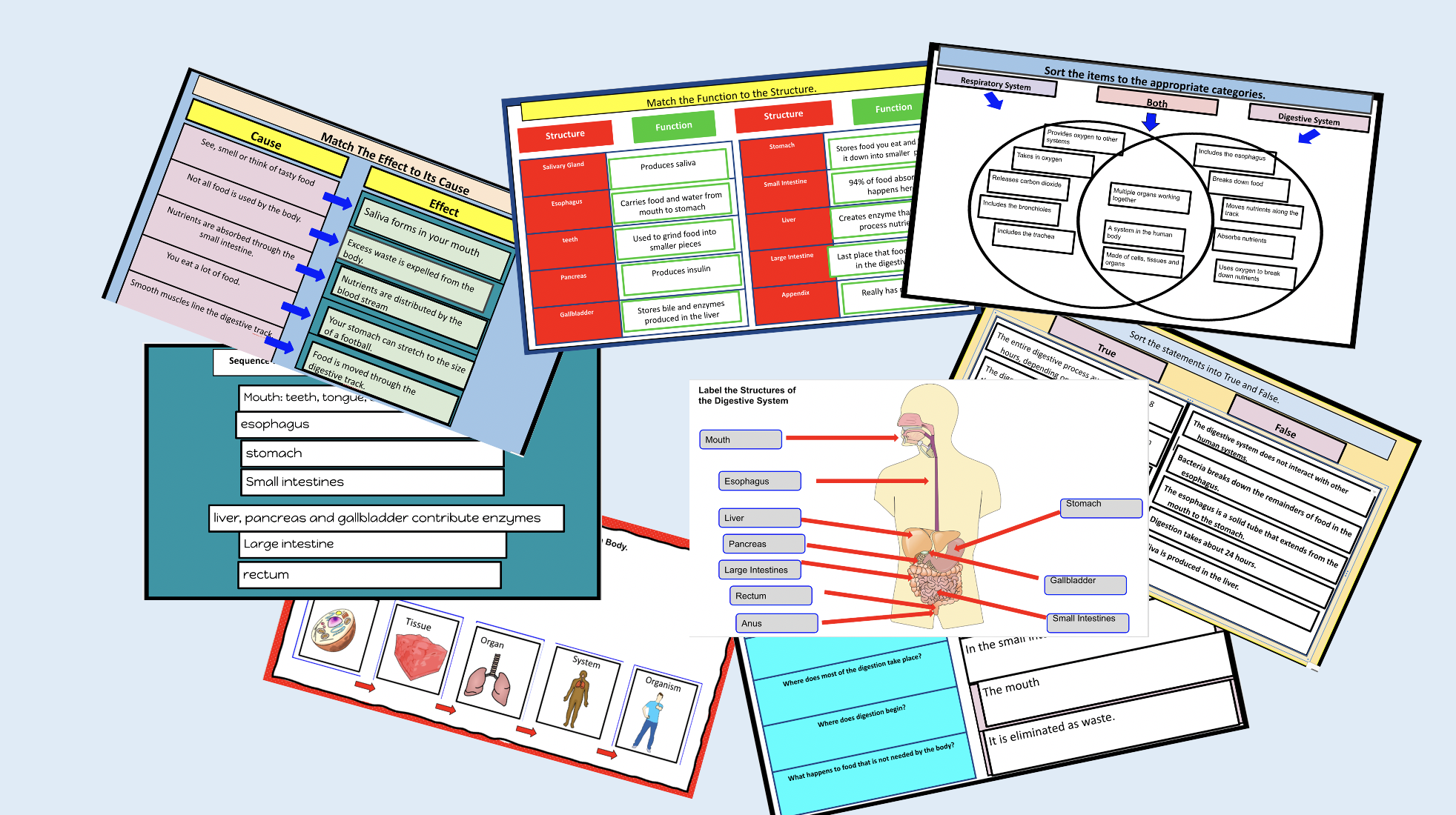 Digestive System Online Unit for Middle School - Teaching Science with ...
