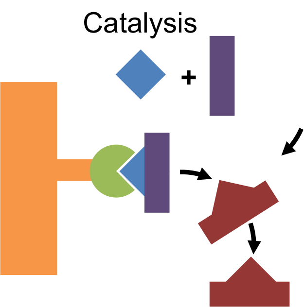 Catalysis - ONE Lab - Prof. Cafer T. Yavuz