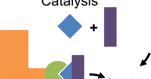 Catalysis - ONE Lab - Prof. Cafer T. Yavuz