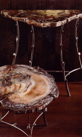 Jessica McIntyre Interiors: nature's beast | petrified wood