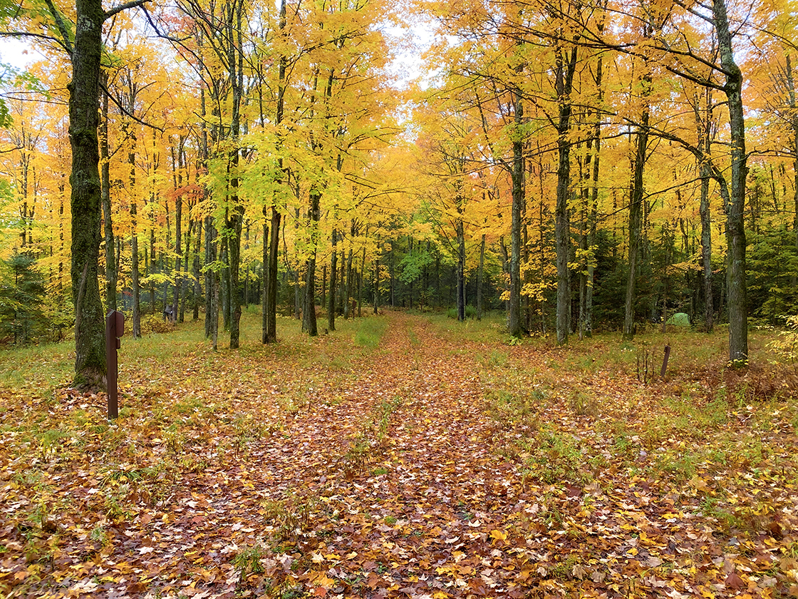 Hiking the North Country Trail Penokee to Beaver Lake