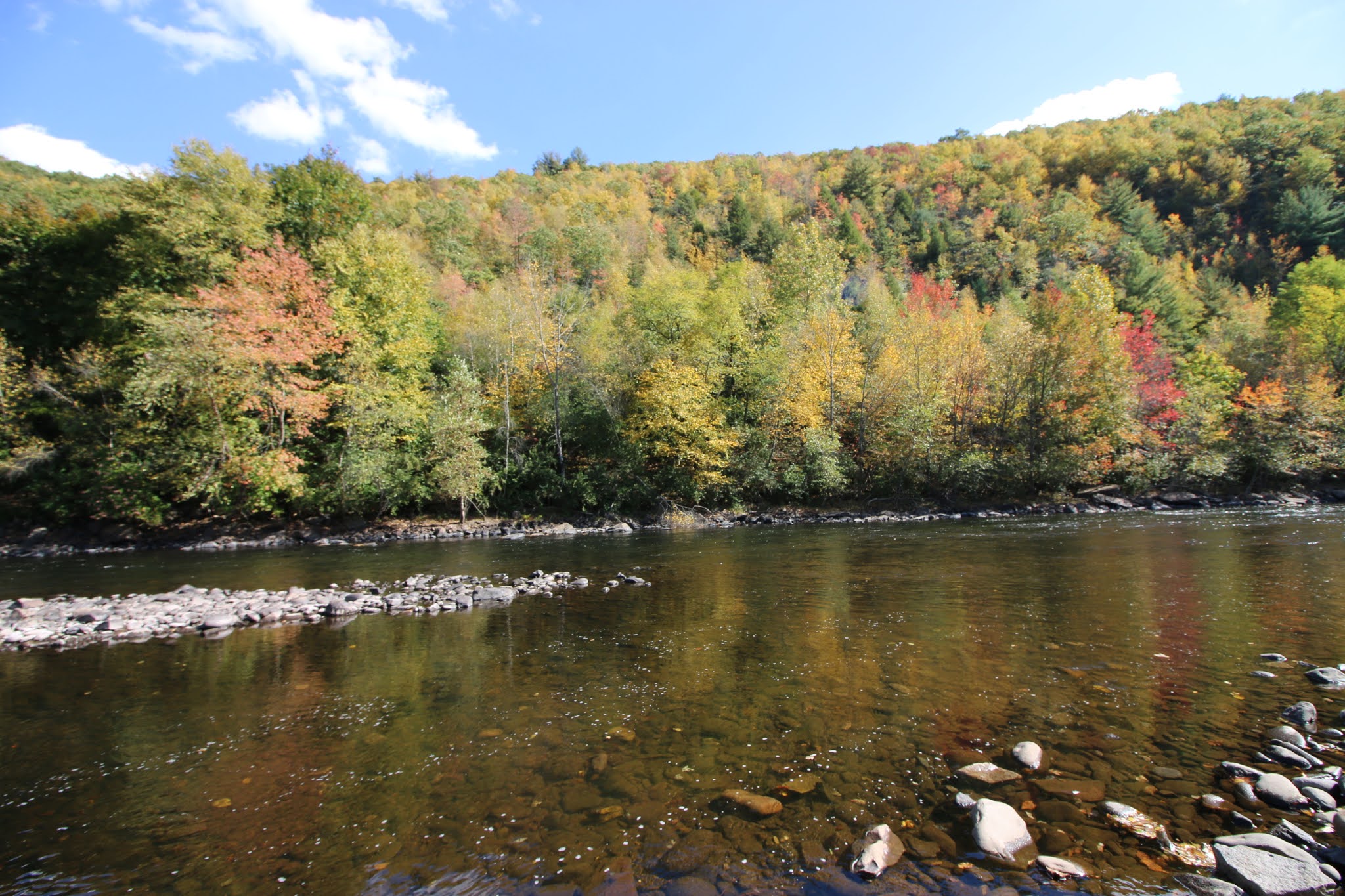 Lehigh Gorge Scenic Railway: Trains Rides Through the Scenic Lehigh ...