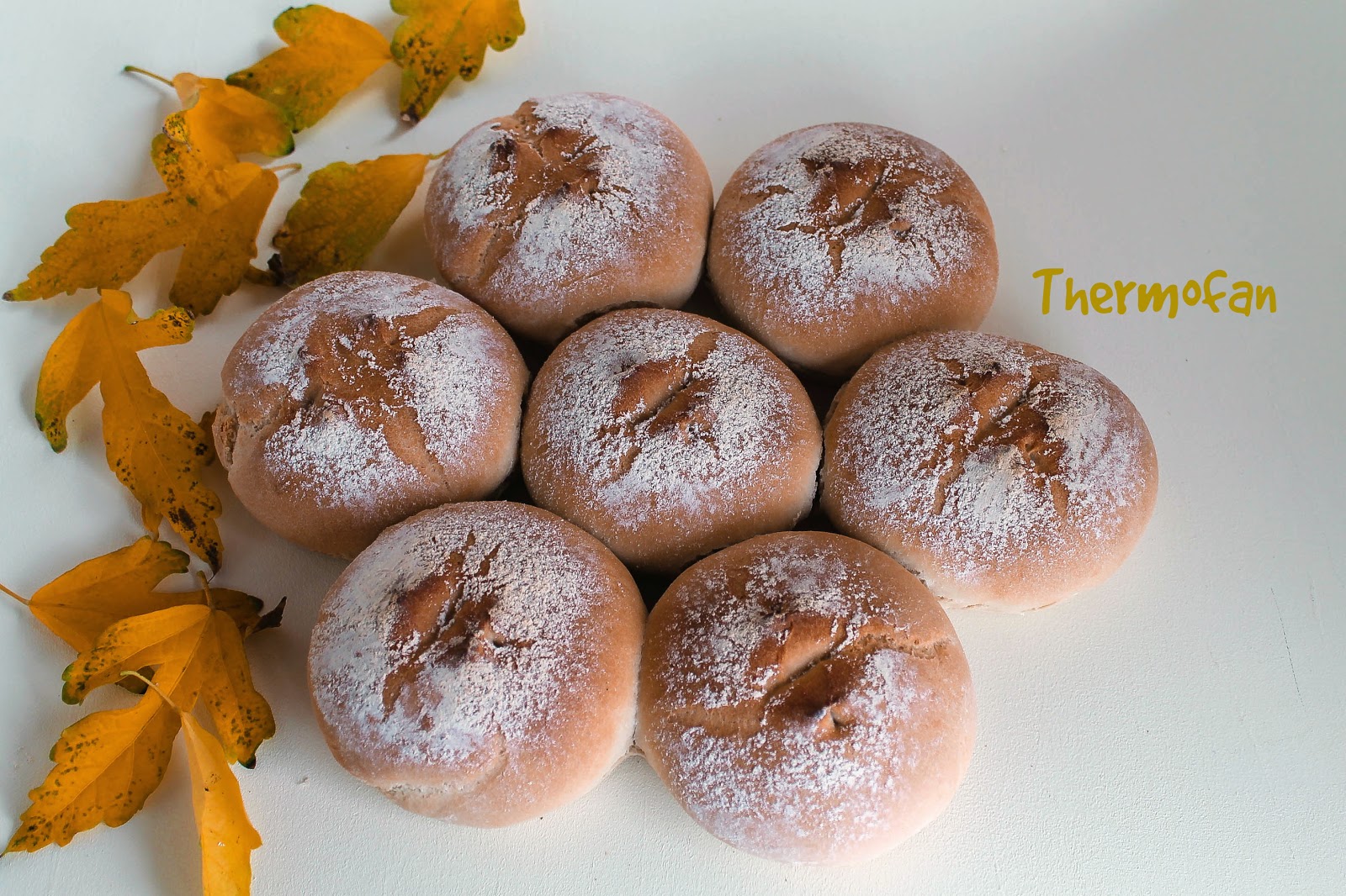 Flor de pan — Thermofan