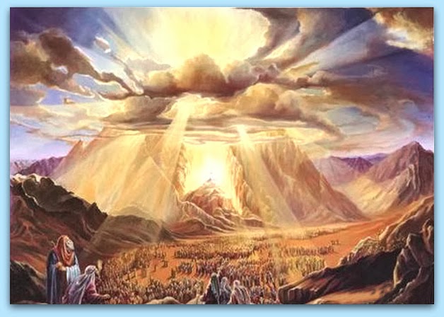 CAMINO CISTERCIENSE II: LA ALIANZA