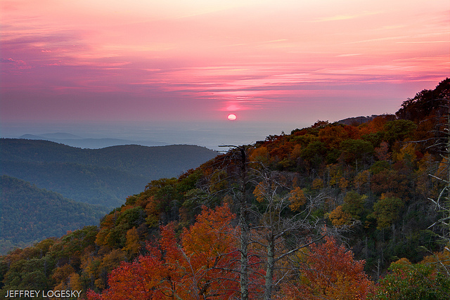 Guide to Shenandoah National Park and Skyline Drive: Hemlock Springs ...