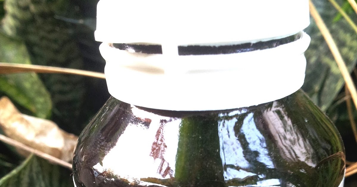 BLACKMORES Bio C 1000mg - SoullessSoul