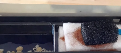 How To Maintain An Aquarium Overhead SUMP Filter