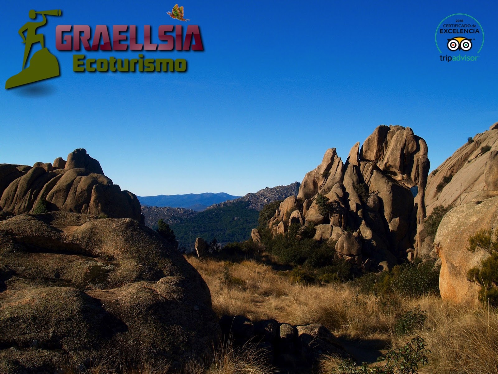 Cuaderno de Campo de Graellsia Ecoturismo: La Pedriza del Manzanares ...