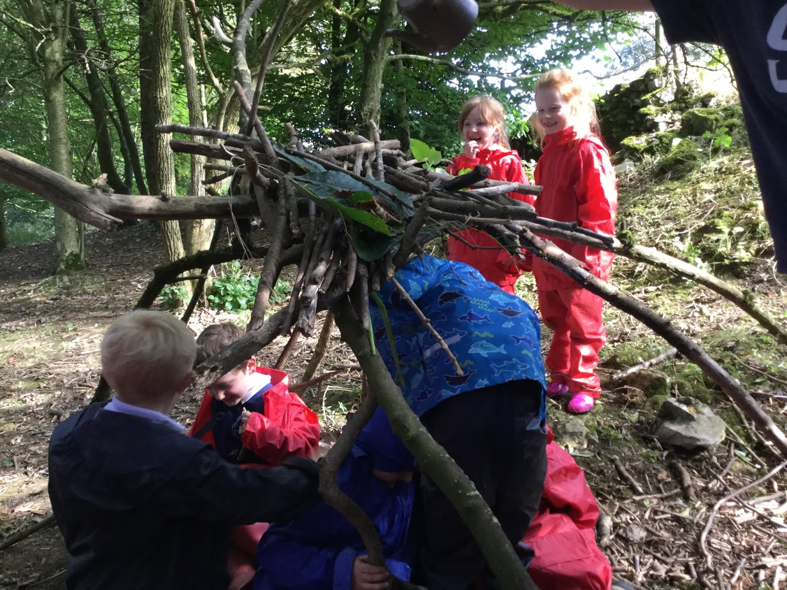 Making dens in forest school