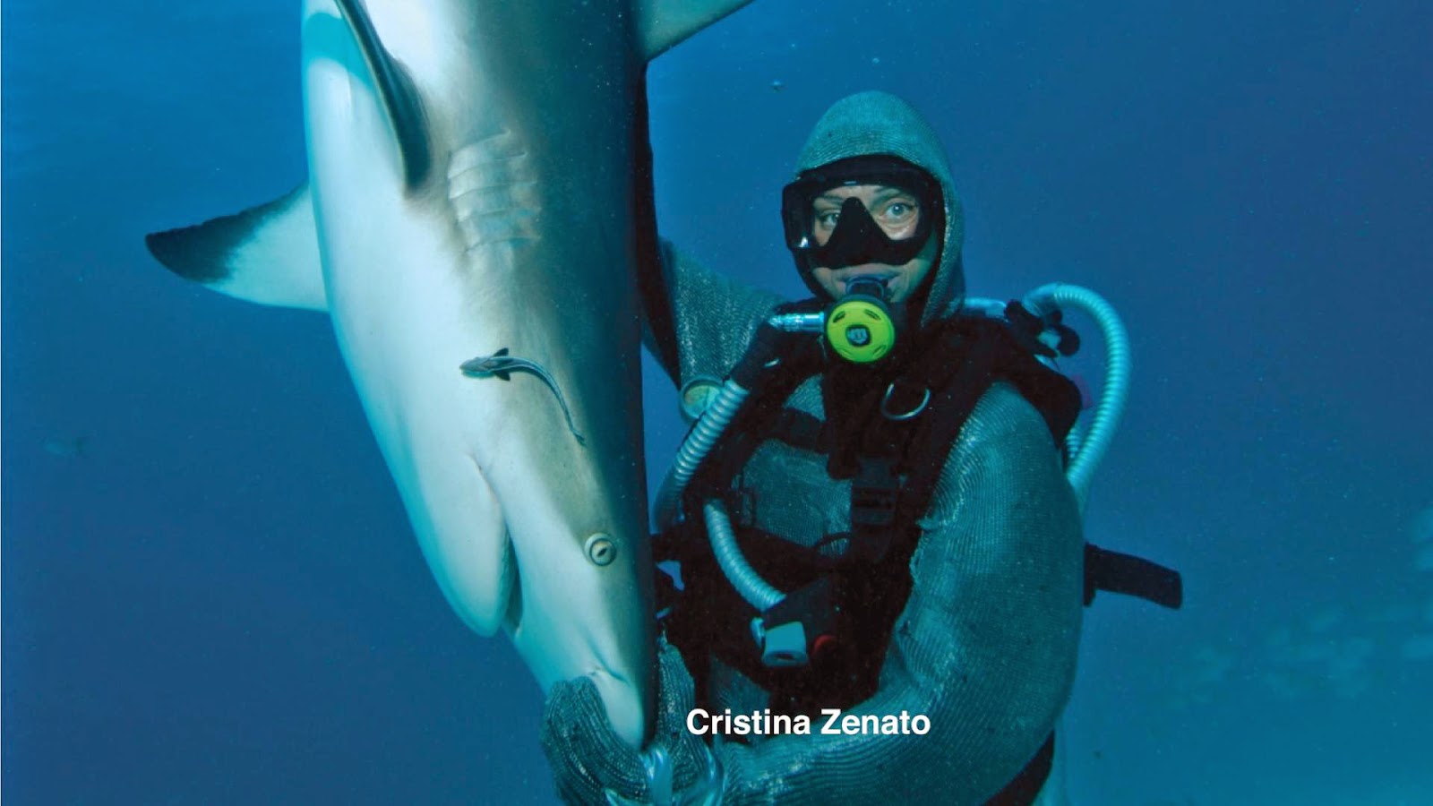 Shark Whisperer Cristina Zenato Planet Earth Diver