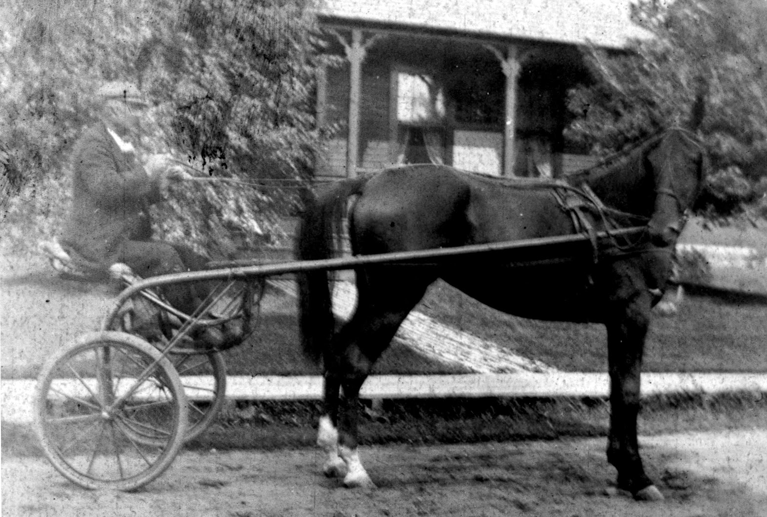 The Lost Trotting Parks Heritage Center -- Storyboard Archives: J.W ...