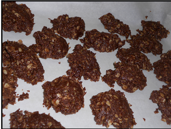 Fun in Great Salt Lake's Sun : Bison Dung Cookies