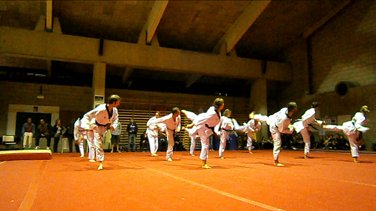 TAEKWONDO PERFORMANCE: Démonstration de Taekwondo au salon des sports ...