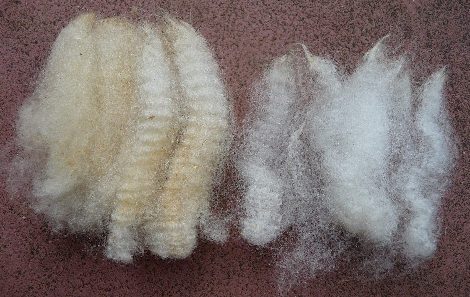 Wool - Tribulations of Hand Spinning and Herbal Dyeing: Preparing and ...