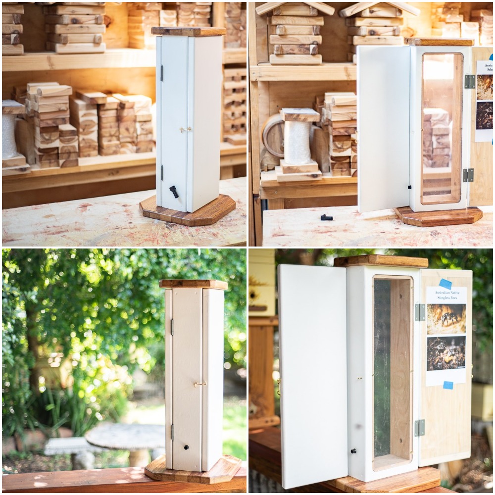 Belajar Bareng Ternak Lebah Madu