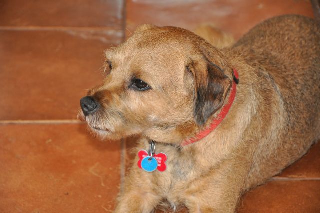 A Peek at the Creative Space of Don Calame - Jennifer Chambliss Bertman