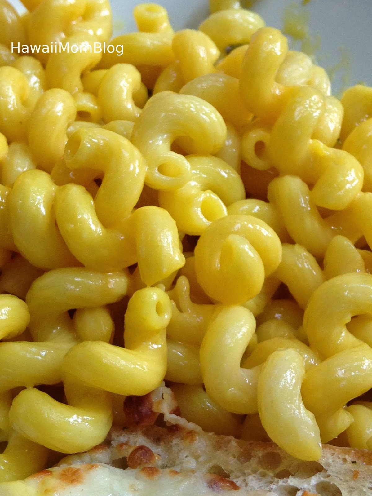 Hawaii Mom Blog: Visit Orange County: Rainforest Cafe