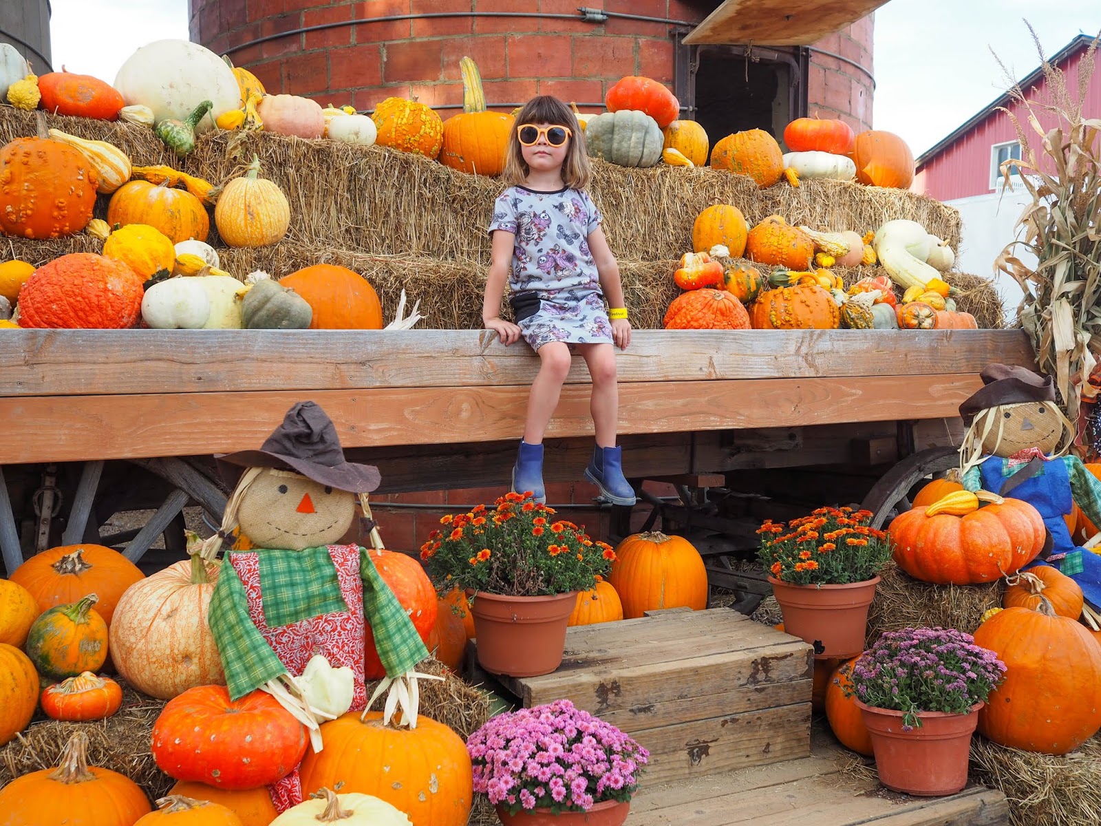 Little Hiccups: Fall Fun at Anderson Farms