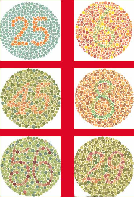 ANEKA INFO TEKNIK: Test Buta Warna