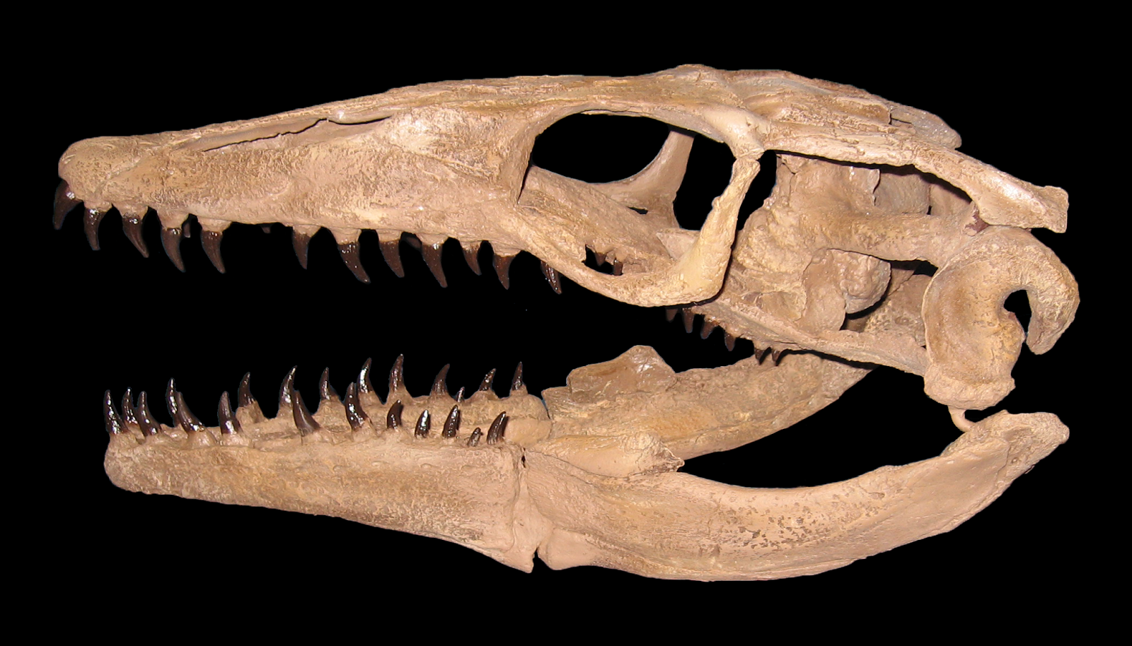 The Expeditioner's Discovery Guild: A little bit of Everything: 2016