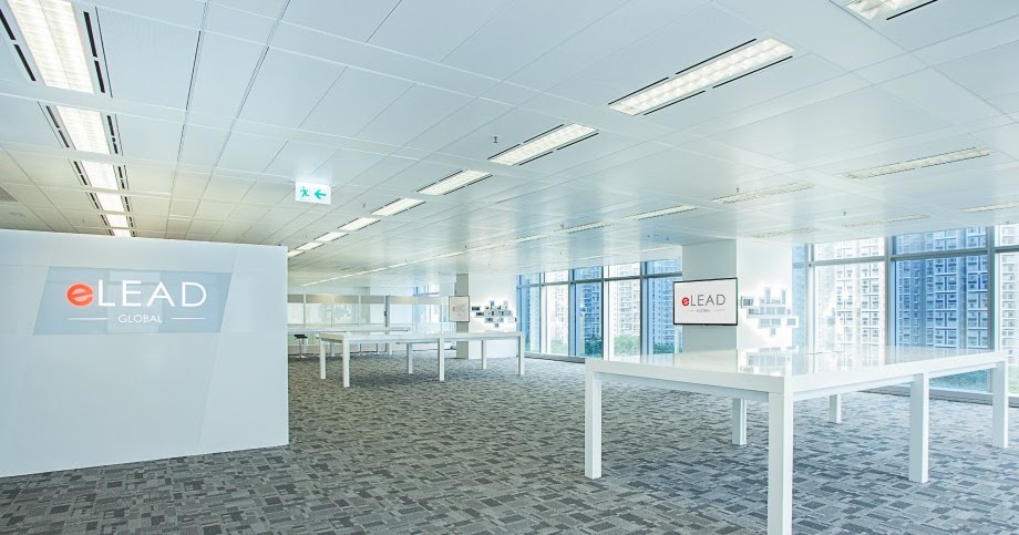 eLead.lifestyle: The Company