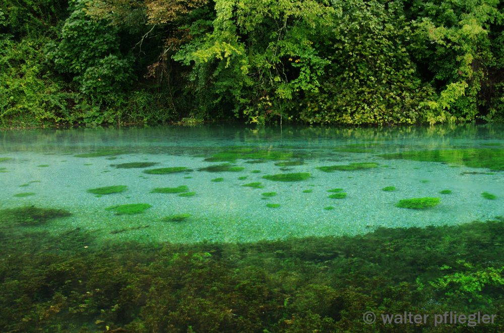 Nature photos from an Amateur Naturalist: Syri i Kaltër, Albania (Syri ...
