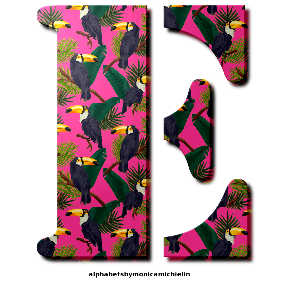 M. Michielin Alphabets: TOUCAN ALPHABET PINK BACKGROUND, NUMBERS, ICONS ...